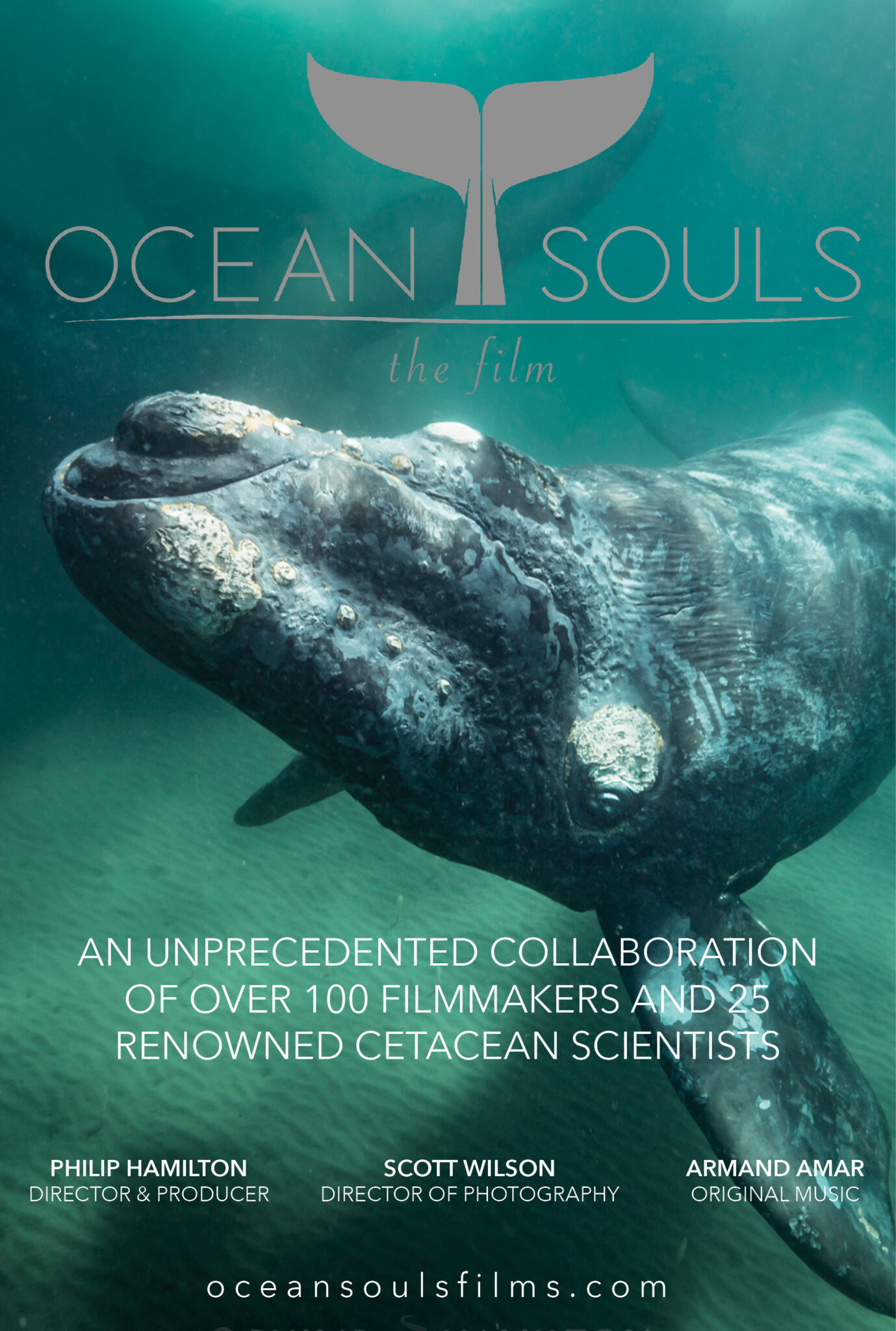 Programmation du 25 au 31 décembre 2024 | Cinélux